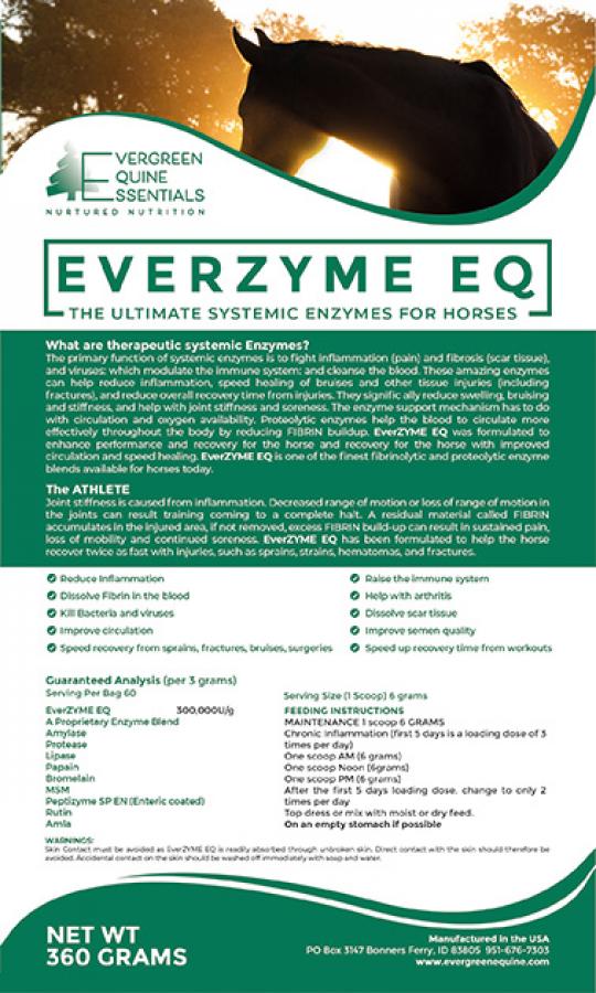EverZYME EQ 360 GRAMS: Evergreen Equine Essentials